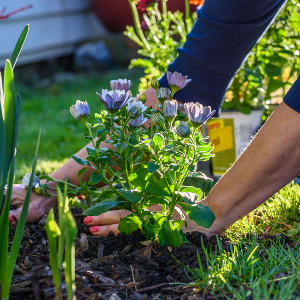 Plans – Upper District